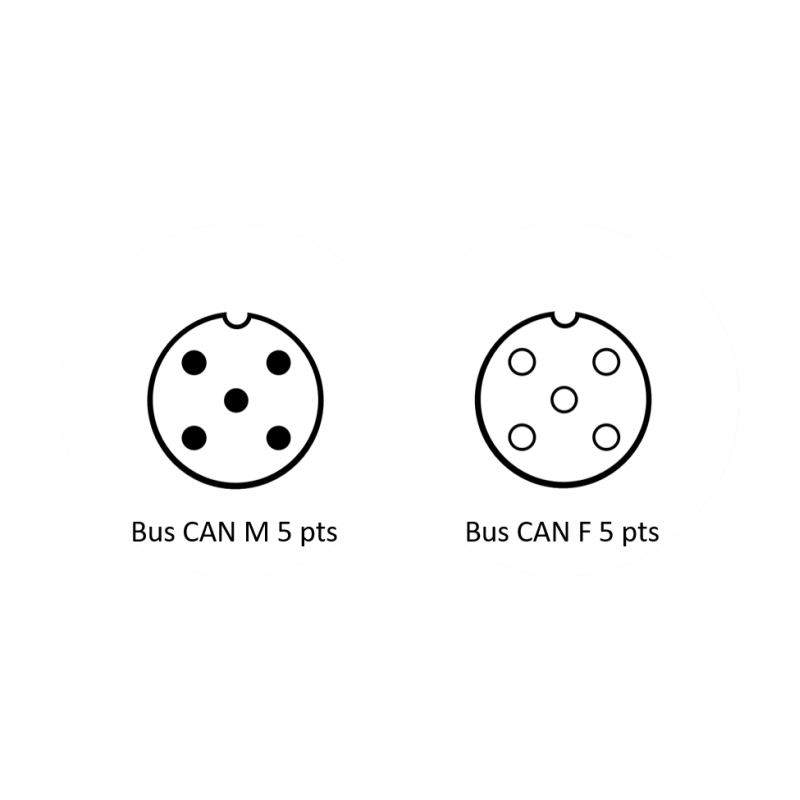 Rallonge Bus CAN de 30 centimètres 5 points